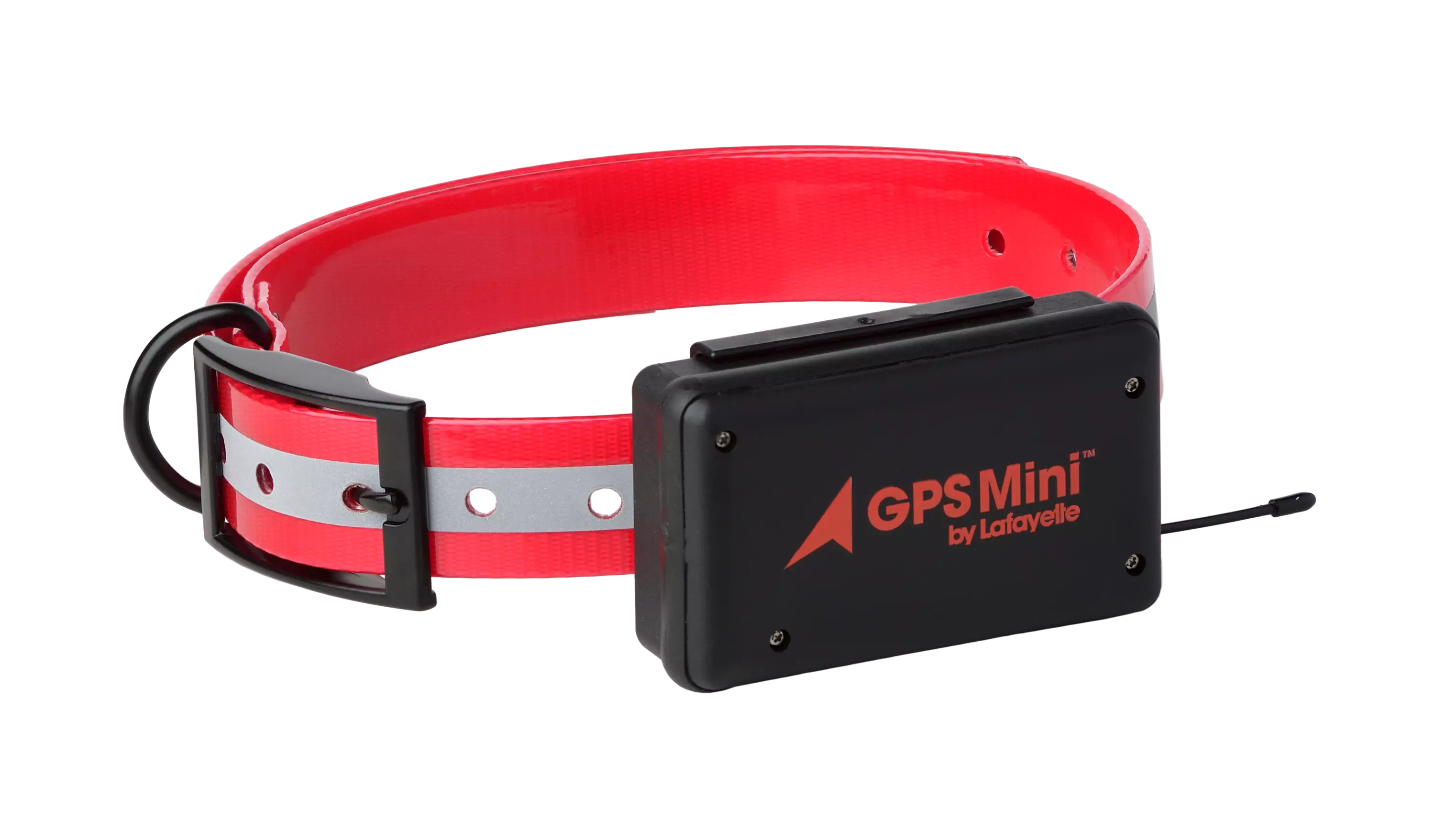 Lafayette GPS Mini C2 GSM/LTE Koiratutka - Sissos.fi verkkokauppa